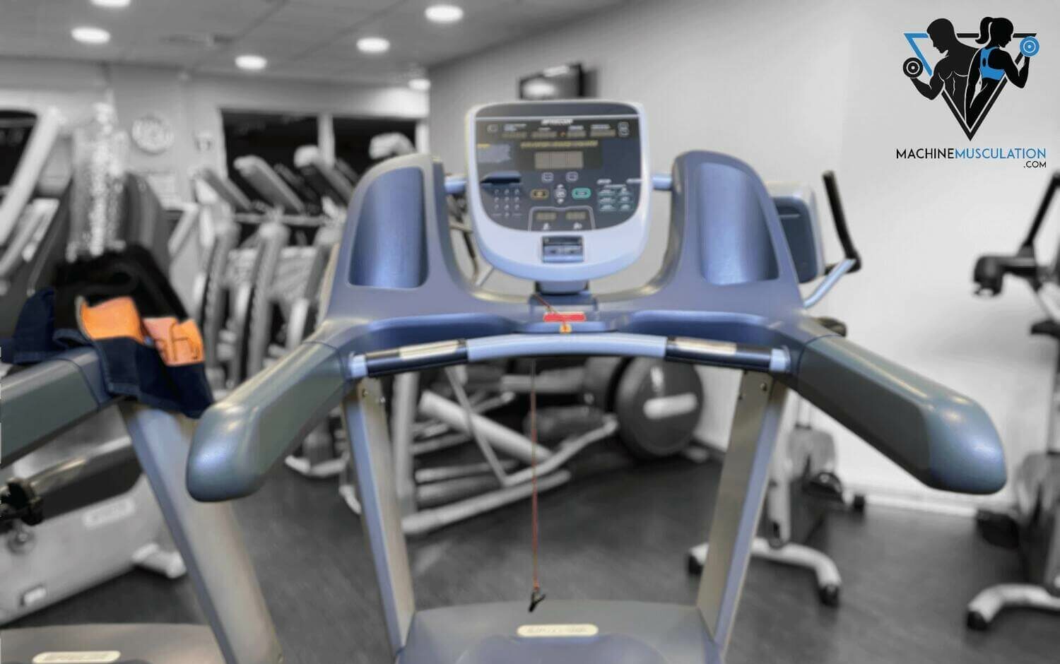 Le meilleur de la musculation et du fitness